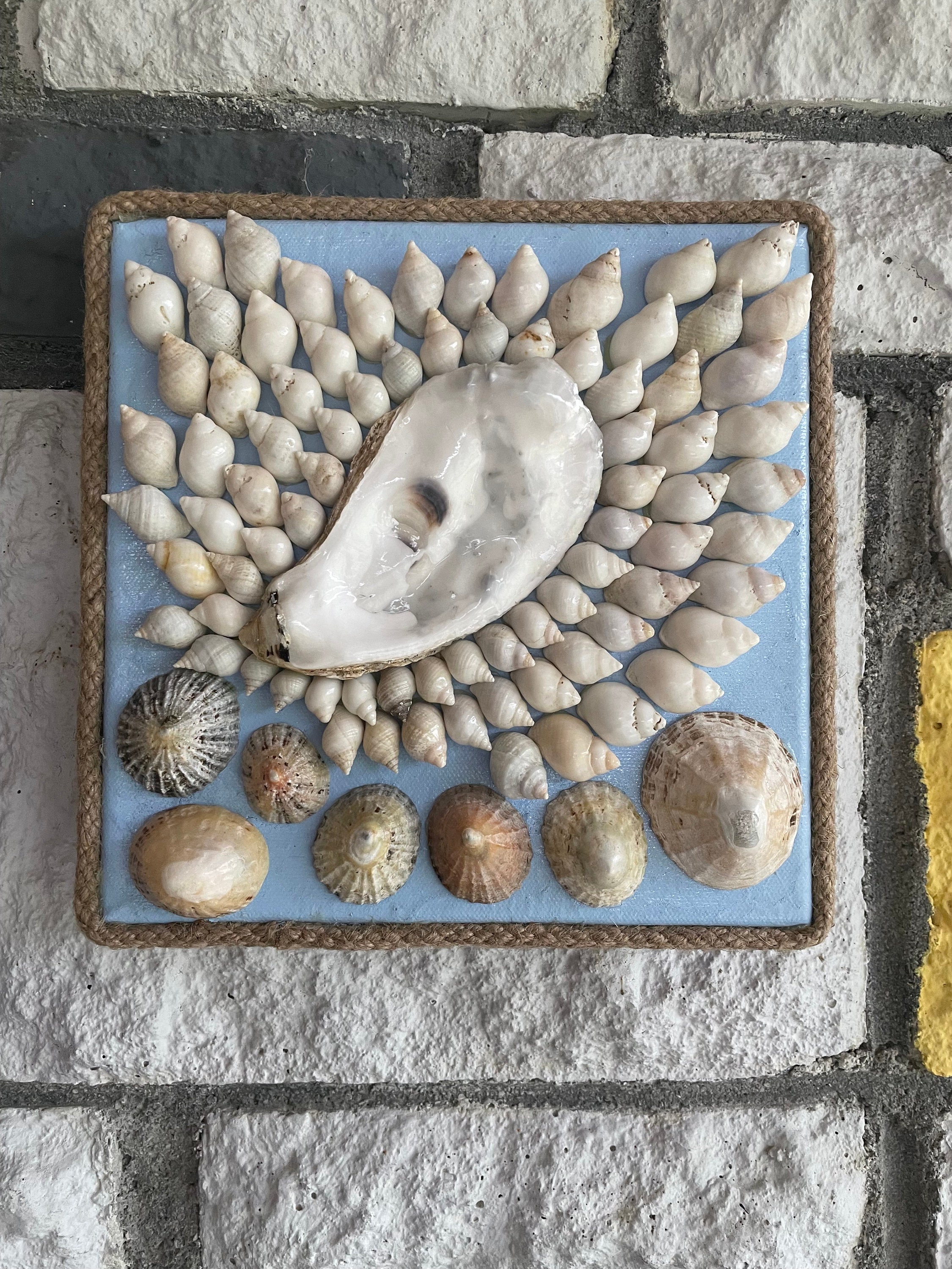 Shell Art, Ocean Shell Paint, Shells Artistic Composition - Etsy