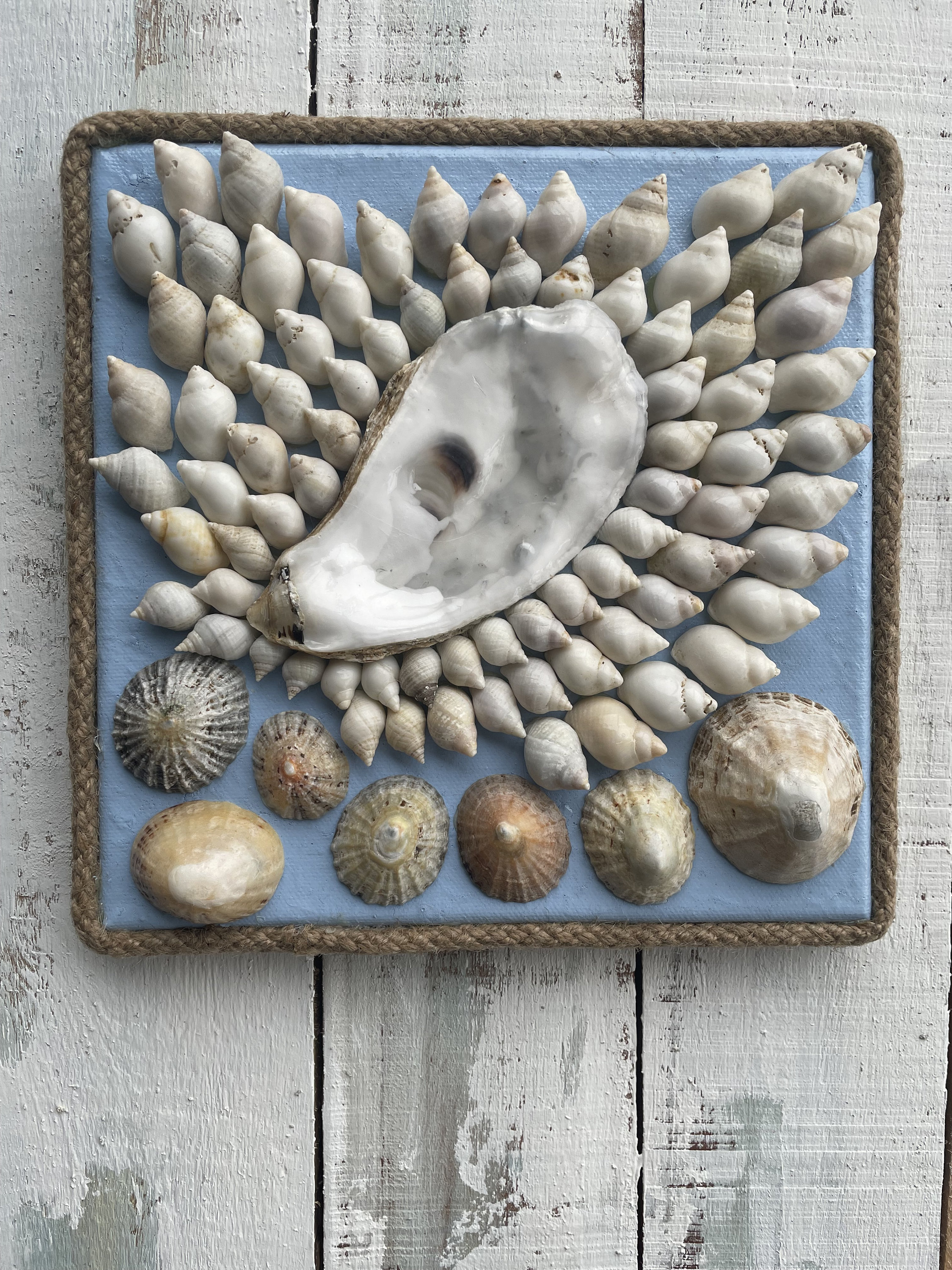 Shell Art, Ocean Shell Paint, Shells Artistic Composition - Etsy