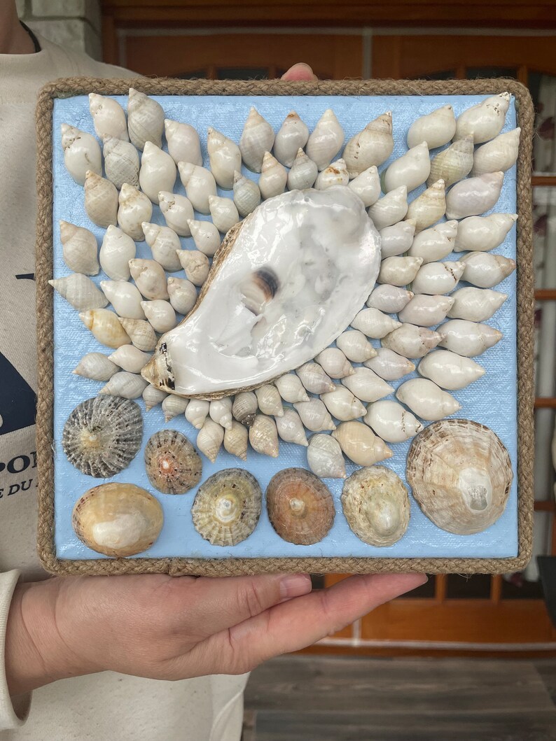 Shell Art, Ocean Shell Paint, Shells Artistic Composition - Etsy