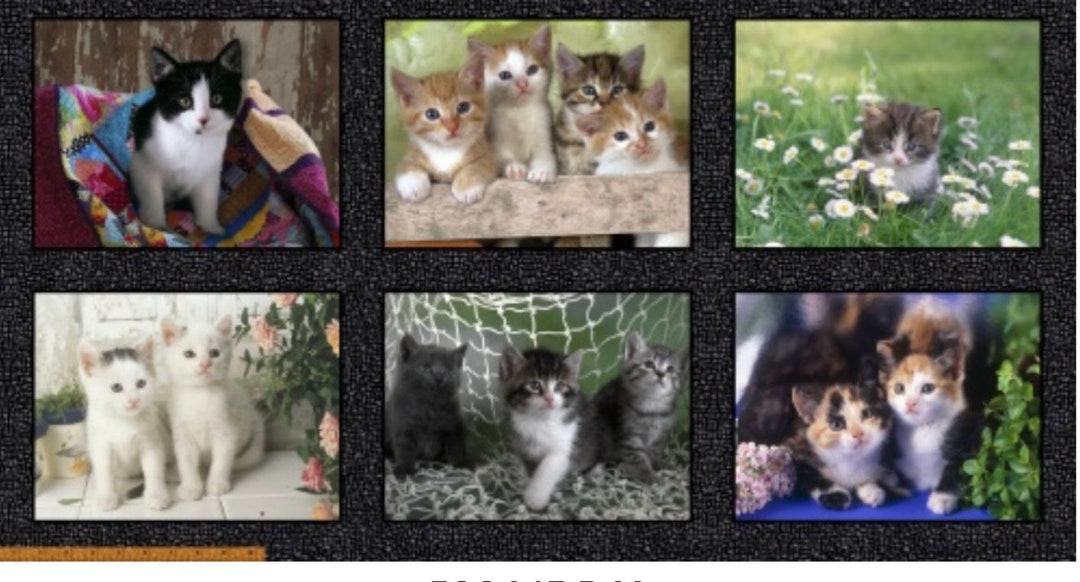 Fabric Cute Cats Panel Cotton Fabric Cats All Over Adorable Cats - Etsy