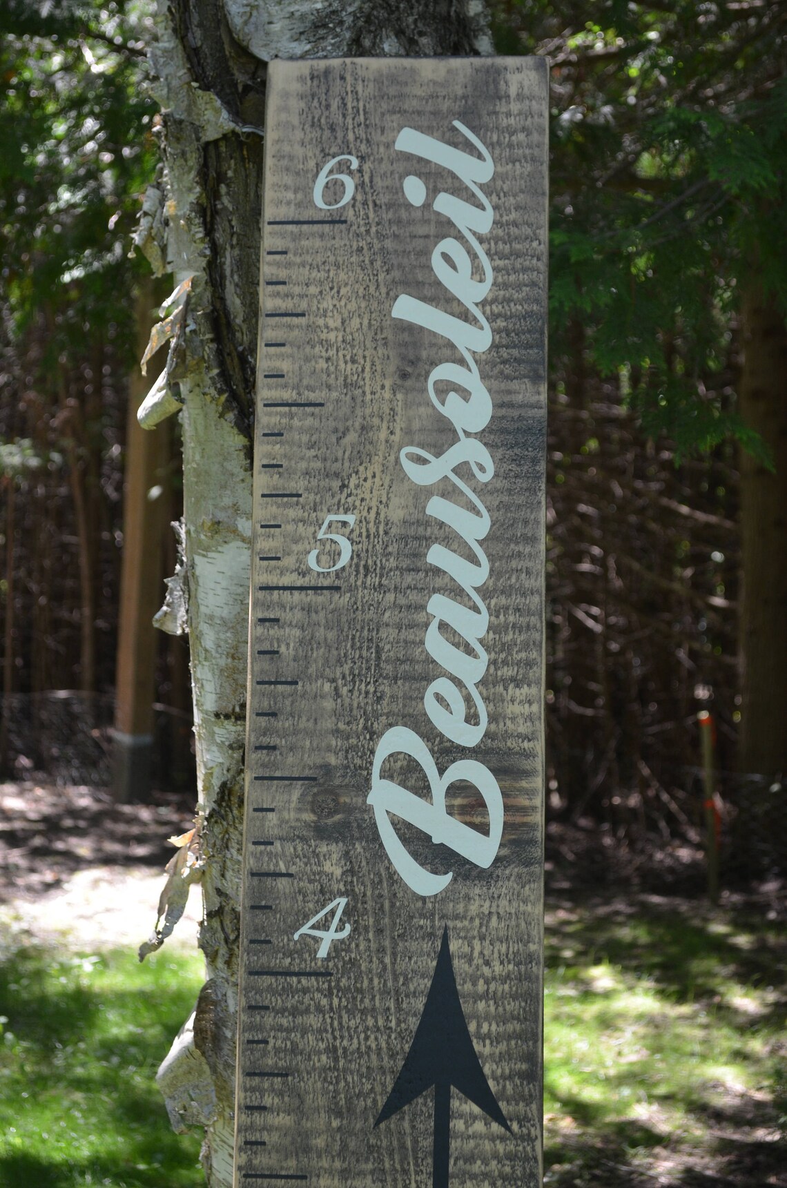 Children's Growth Chart Wooden Growth Chart Painted Wood | Etsy