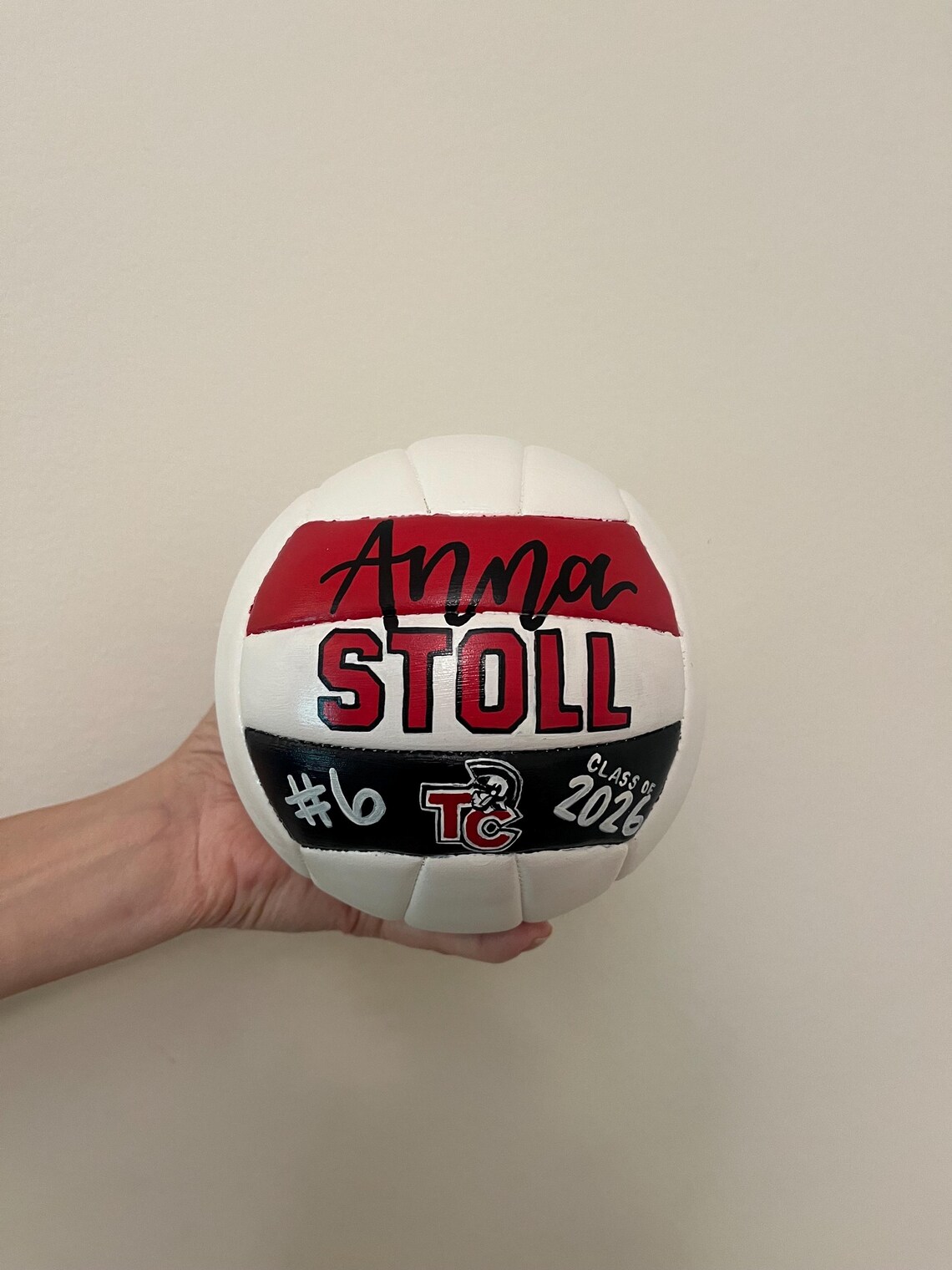MINI Volleyballs - Hand-painted Senior Gifts – Personalized for Your ...