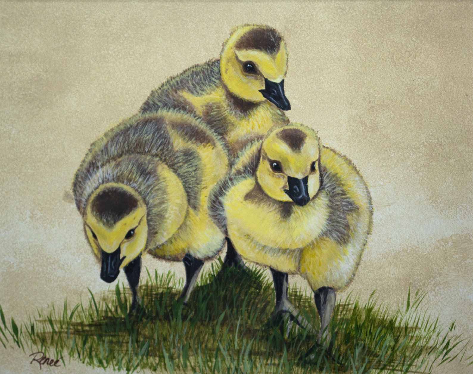 Canada Goslings Signed Acrylic Painting, Original Fine Art Wildlife ...