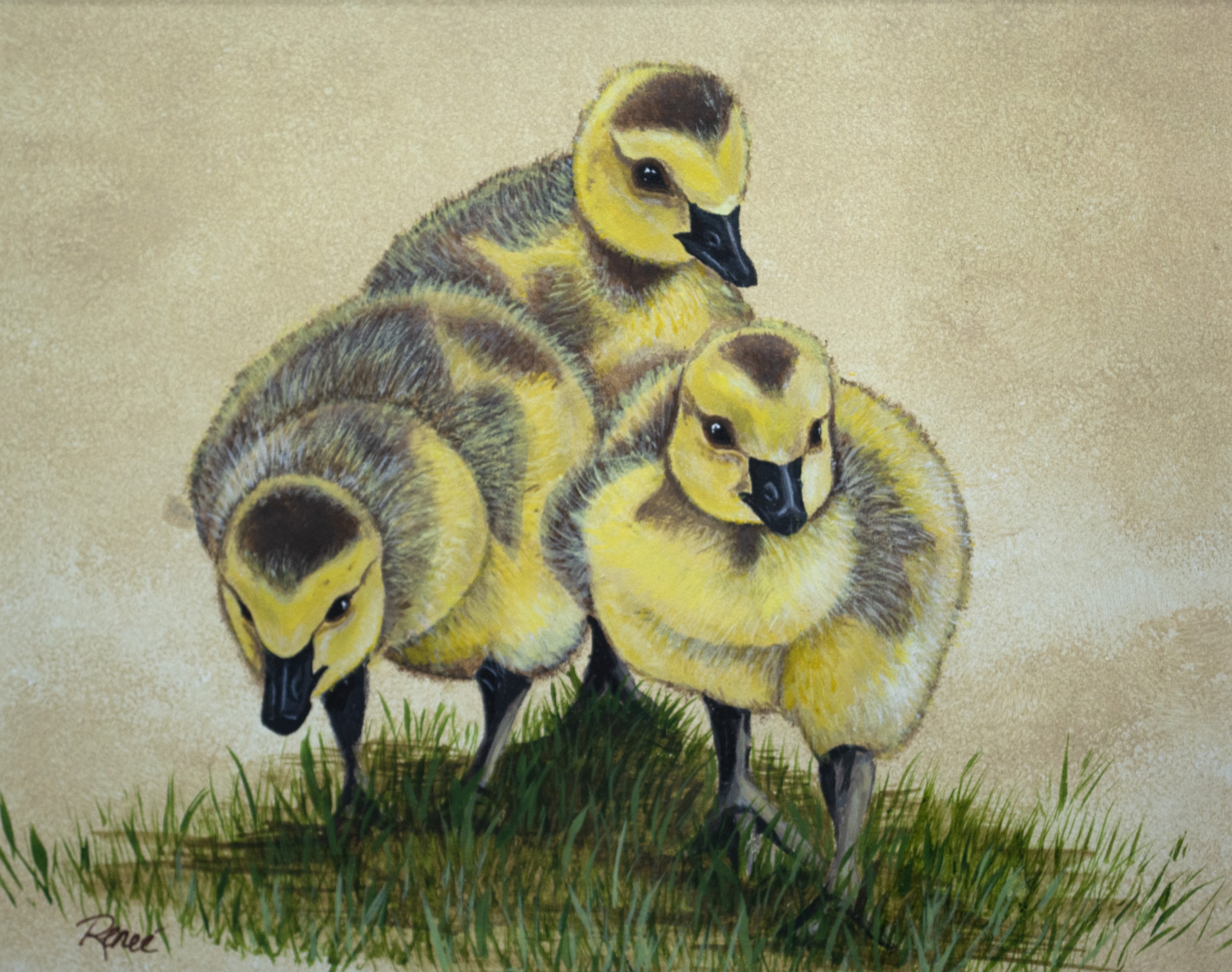 Goslings Acrylic Painting Original Art Canadian Geese | Etsy