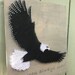 Bald Eagle String Art - Etsy