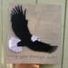 Bald Eagle String Art - Etsy