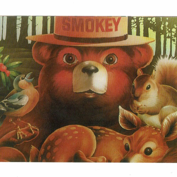 Bear Postcard - Etsy