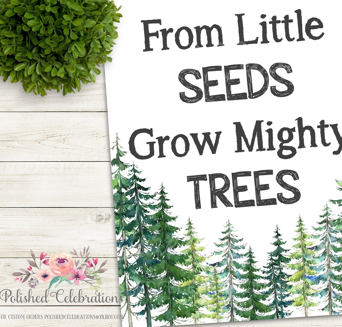 From Little Seeds Grow Mighty Trees / Printable Nursery Decor ...