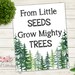 From Little Seeds Grow Mighty Trees / Printable Nursery Decor ...