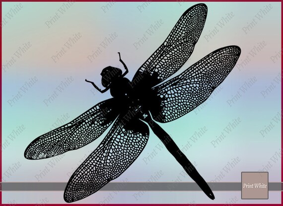 Libelle Vektor Libelle Kostenlose Vektor Clipart Bilder Auf
