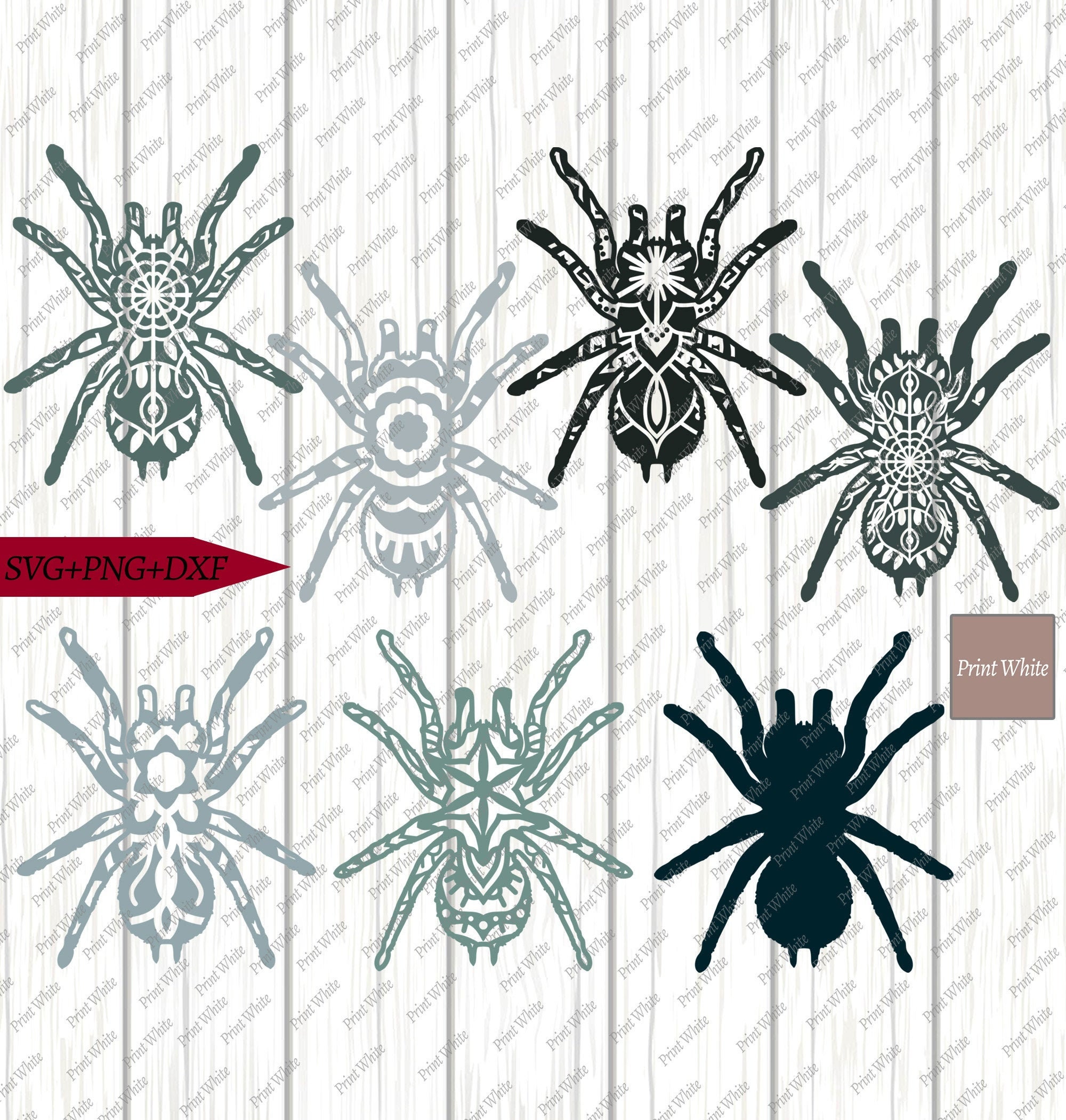 Spider Mandala Svg Png Dxf Bundle Tarantula Zentangle Cut File | Etsy