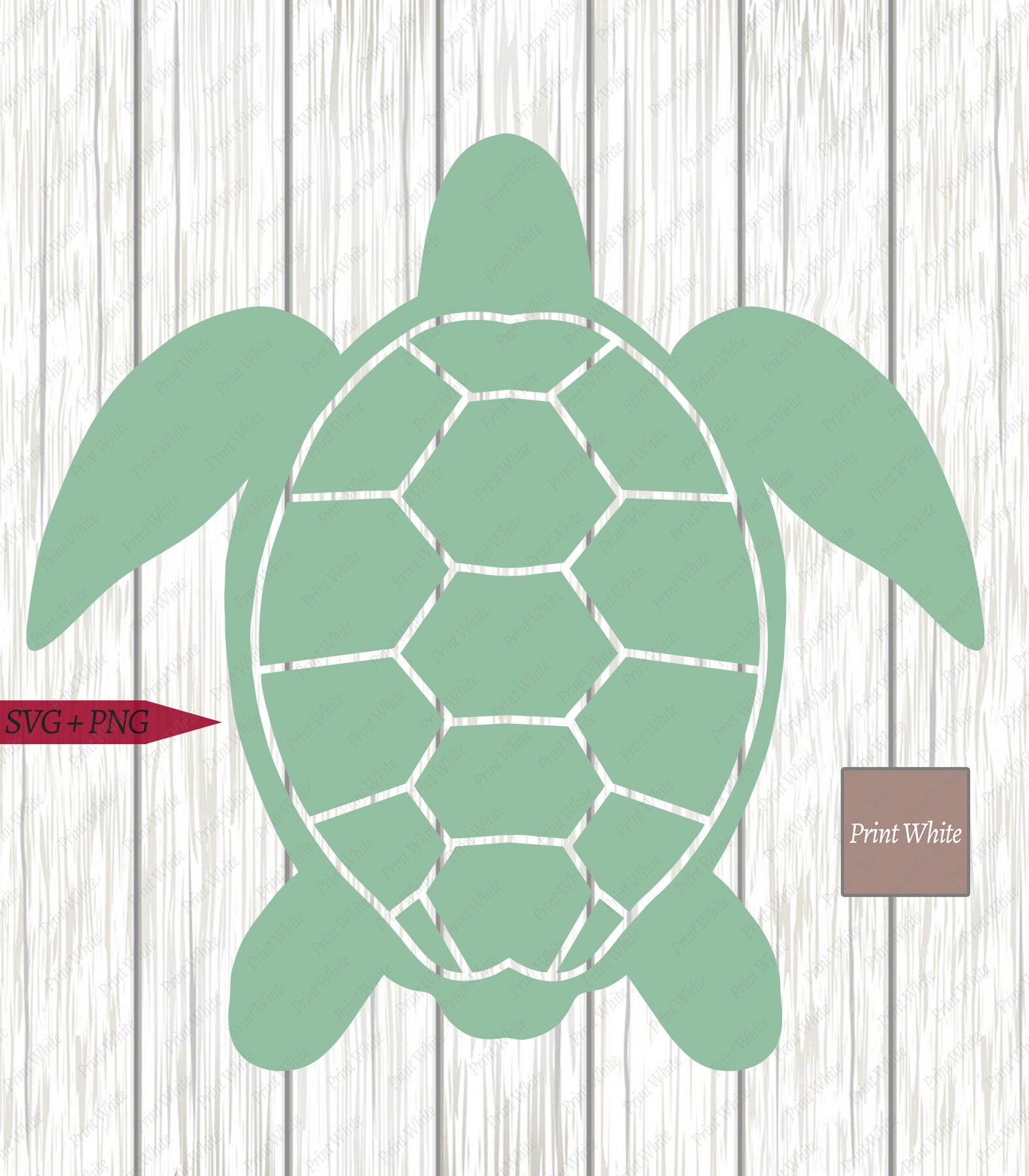 Turtle Svg Bundle Sea Turtle Cut File Set Turtle Clipart for | Etsy