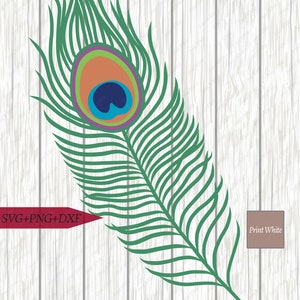 Peacock Feather Svg, Peacock Feather Cut File Png Svg Dxf Digital ...