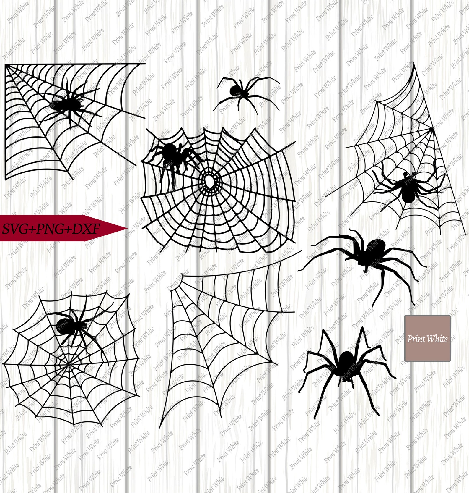 Spiders Svg Png Dxf Tarantula Cut File Spider Web Clipart - Etsy