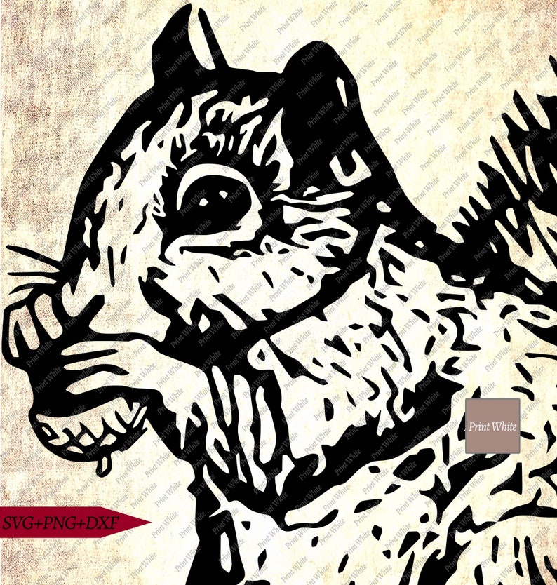 Squirrel Svg Png Dxf Woodland Cut File for Vinyl Decal | Etsy
