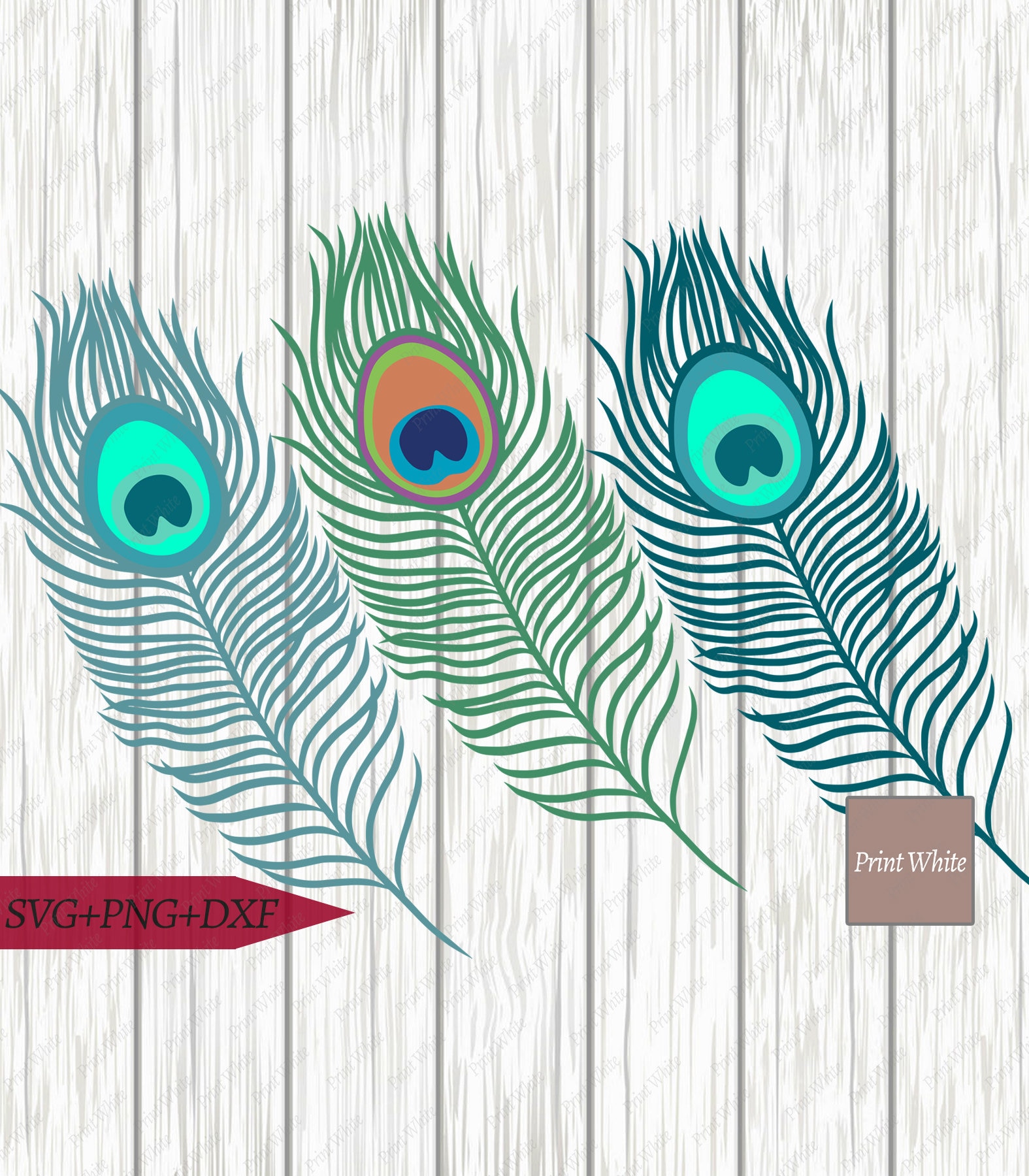 Peacock Feather Svg Peacock Feather Cut File Png Svg Dxf Etsy