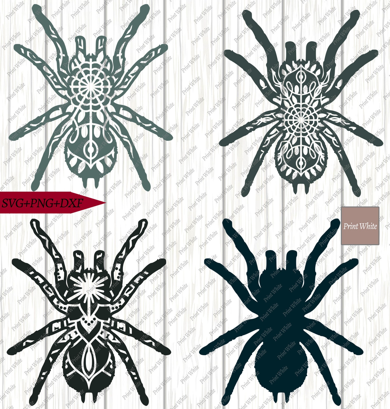 Spider Mandala Svg Png Dxf Bundle Tarantula Zentangle Cut File - Etsy