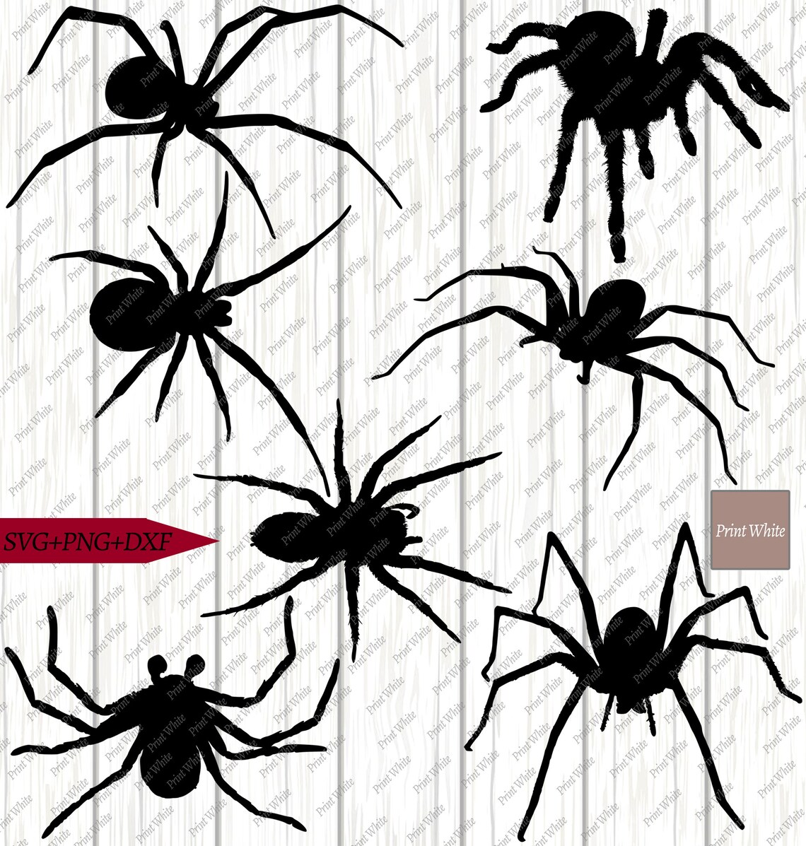 Spiders Svg Png Dxf Tarantula Cut File Spider Web Clipart | Etsy