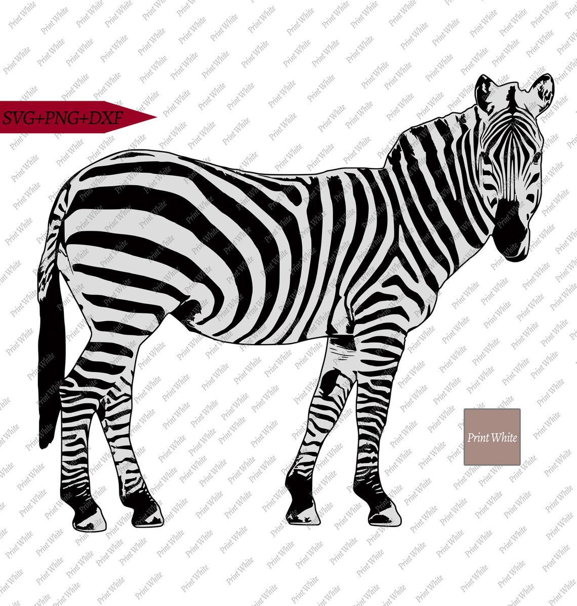 Zebra Svg Png Dxf Zebra Cut File Safari Sublimation Design - Etsy UK