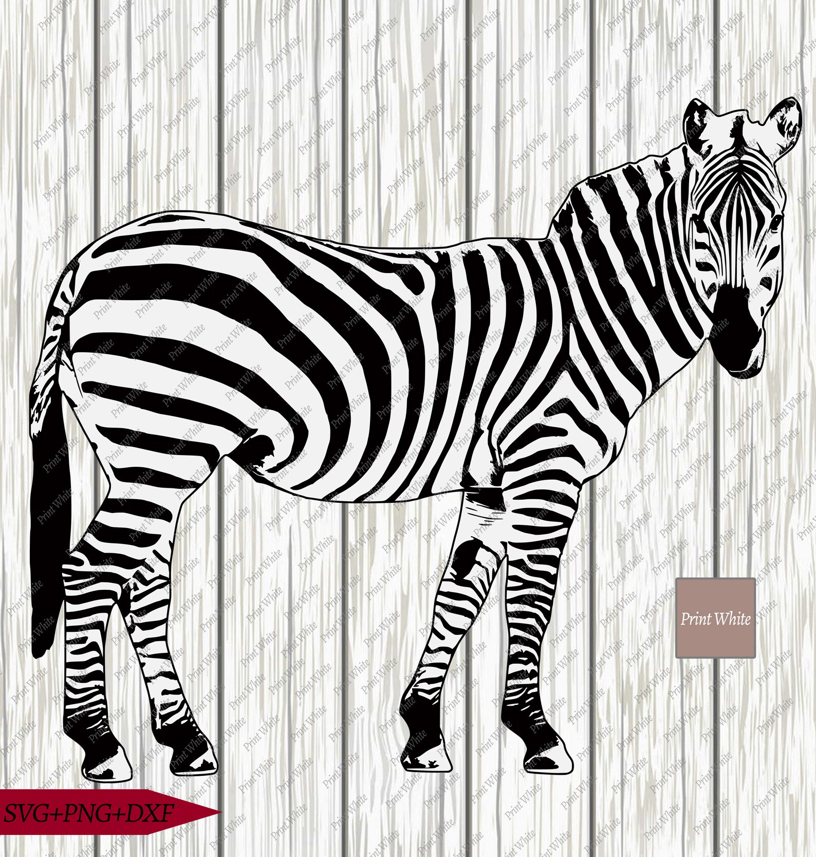 Zebra Svg Png Dxf Zebra Cut File Safari Sublimation Design - Etsy UK