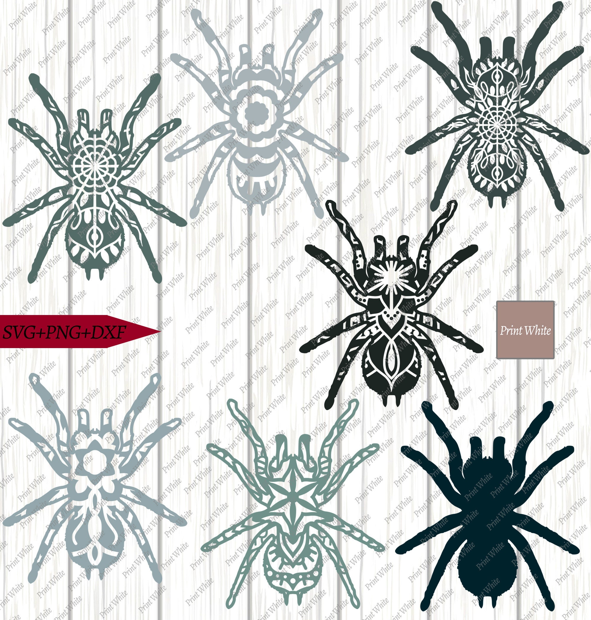 Spider Mandala Svg Png Dxf Bundle Tarantula Zentangle Cut File | Etsy