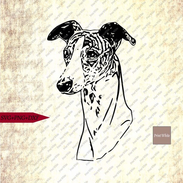 Whippet Svg - Etsy