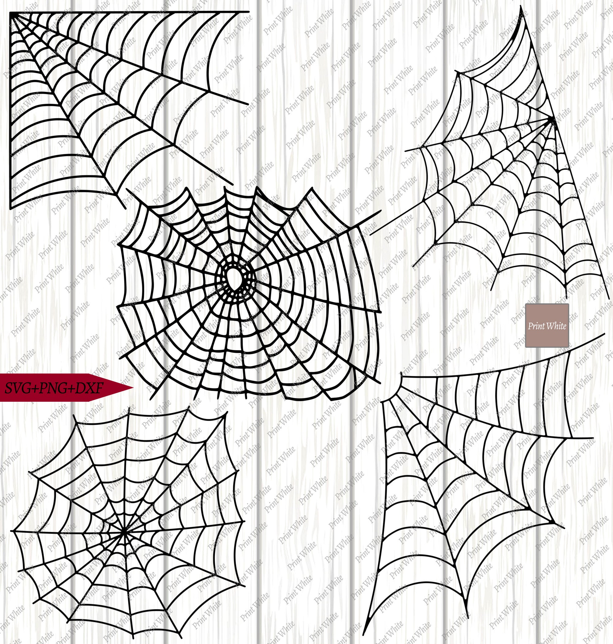 Spiders Svg Png Dxf Tarantula Cut File Spider Web Clipart - Etsy