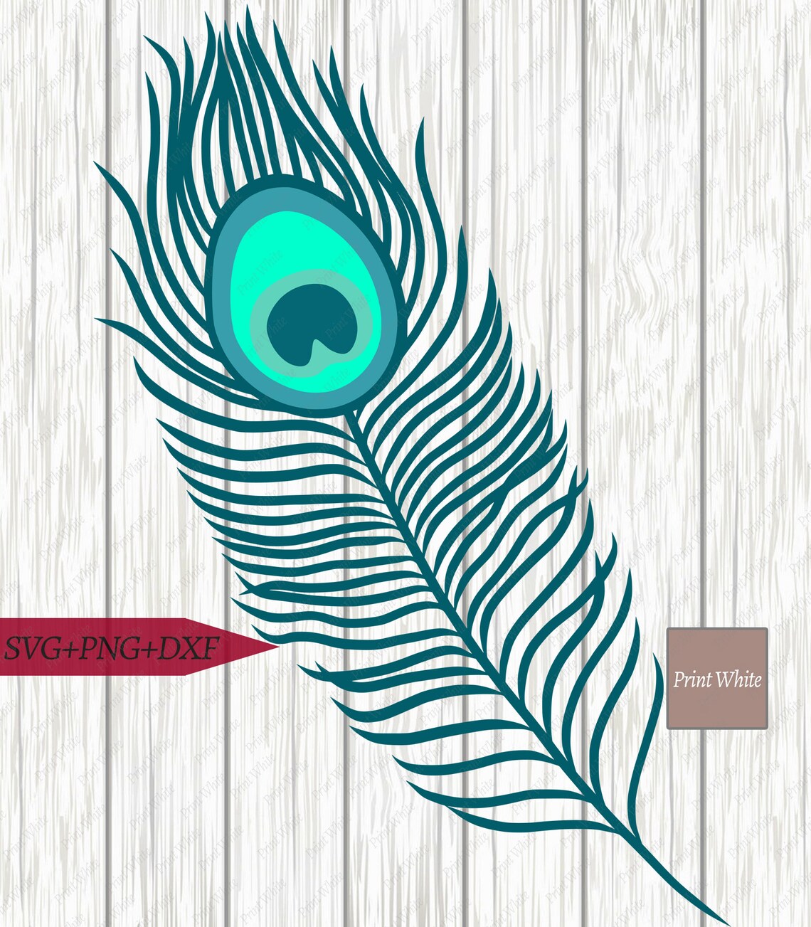 Peacock Feather Svg Peacock Feather Cut File Png Svg Dxf | Etsy UK