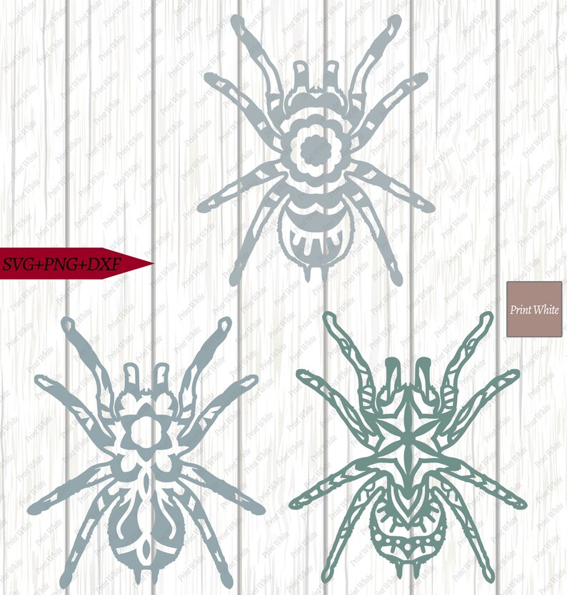 Spider Mandala Svg Png Dxf Bundle Tarantula Zentangle Cut File - Etsy