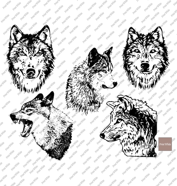 How To Draw A Wolf Head Side View