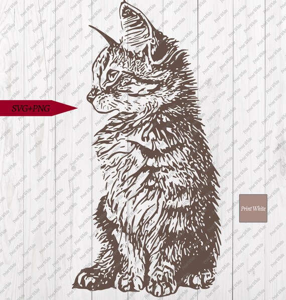 How To Draw A Realistic Cat Body