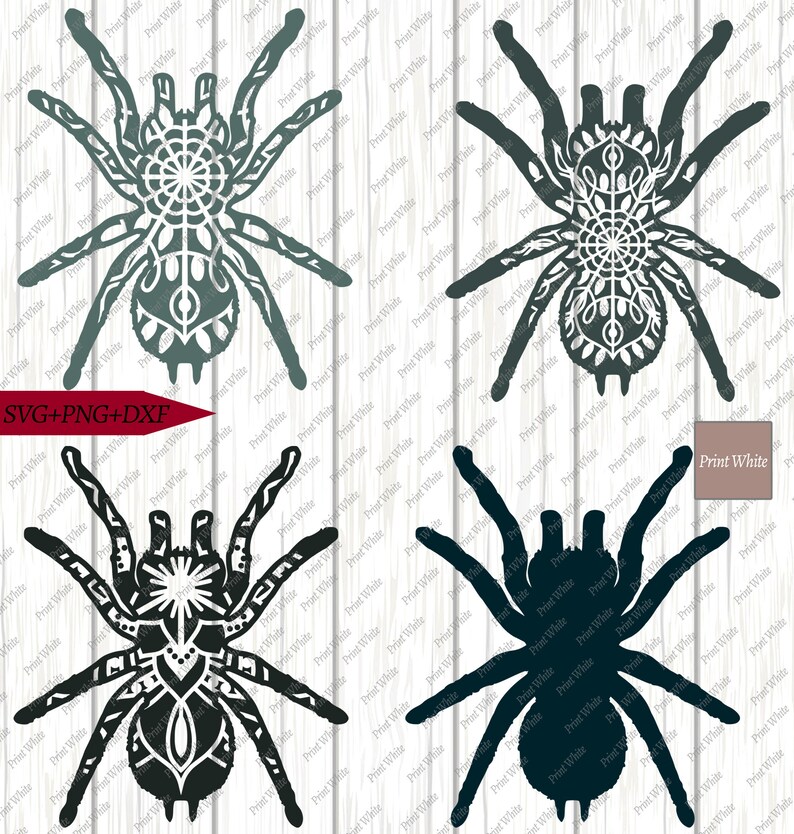 Spider Mandala Svg Png Dxf Bundle Tarantula Zentangle Cut File - Etsy
