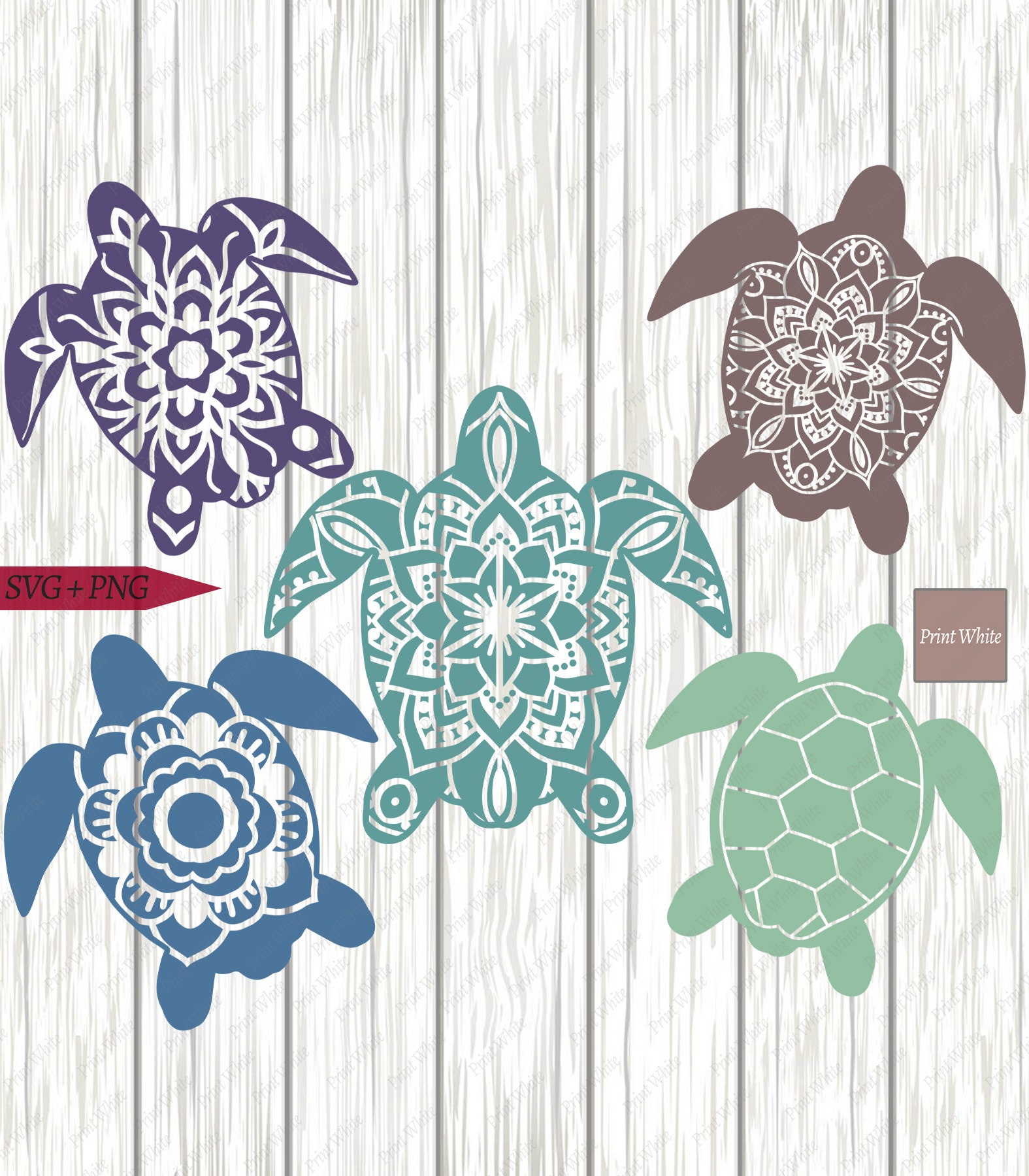 Turtle Svg Bundle Sea Turtle Cut File Set Turtle Clipart for | Etsy