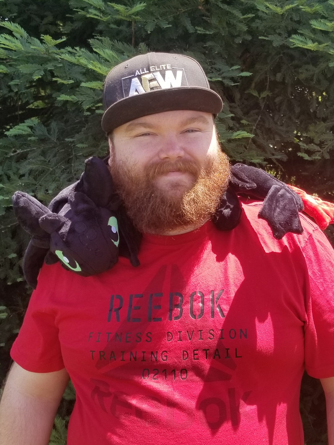 Poseable Toothless Neck Pillow - Etsy