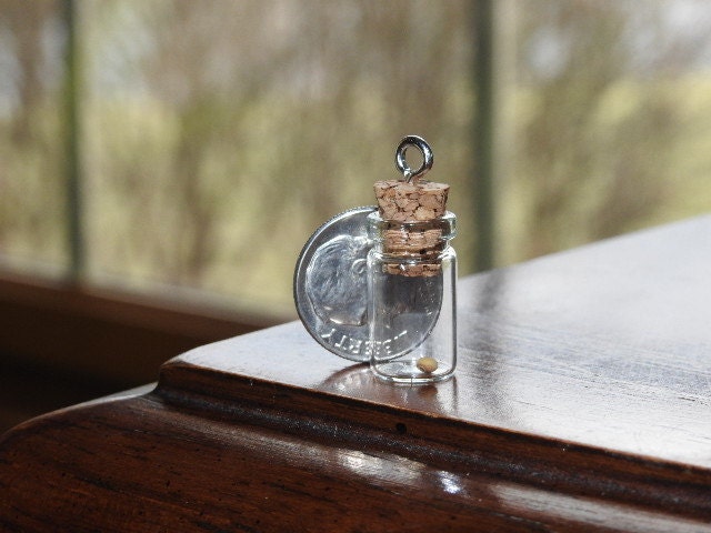 Tiny Mustard Seed Faith Glass Bottle Charm Mini Gift School | Etsy