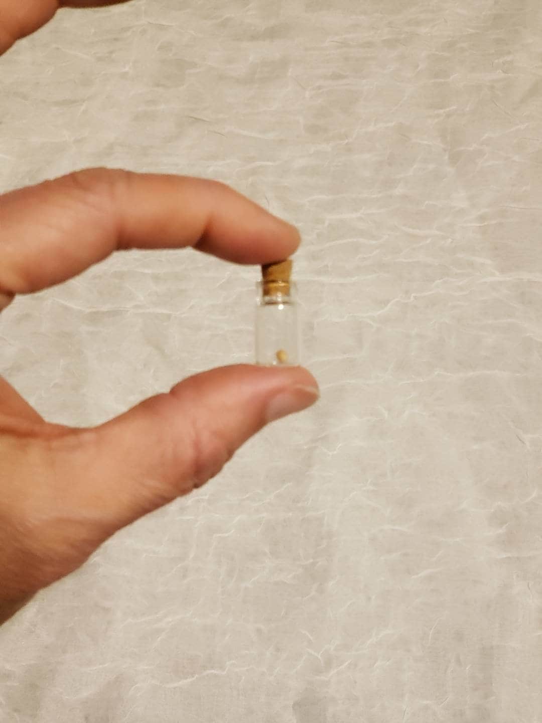 Tiny Mustard Seed Faith Glass Bottle Charm Mini Gift School | Etsy