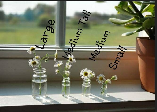 19 VASES 1 of EACH SIZE Sample Pack Little Clear - Etsy