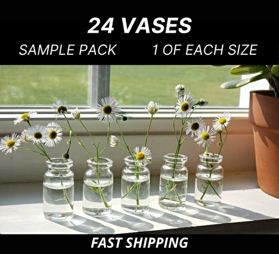 24 VASES 1 of EACH SIZE Sample Pack Little Clear - Etsy