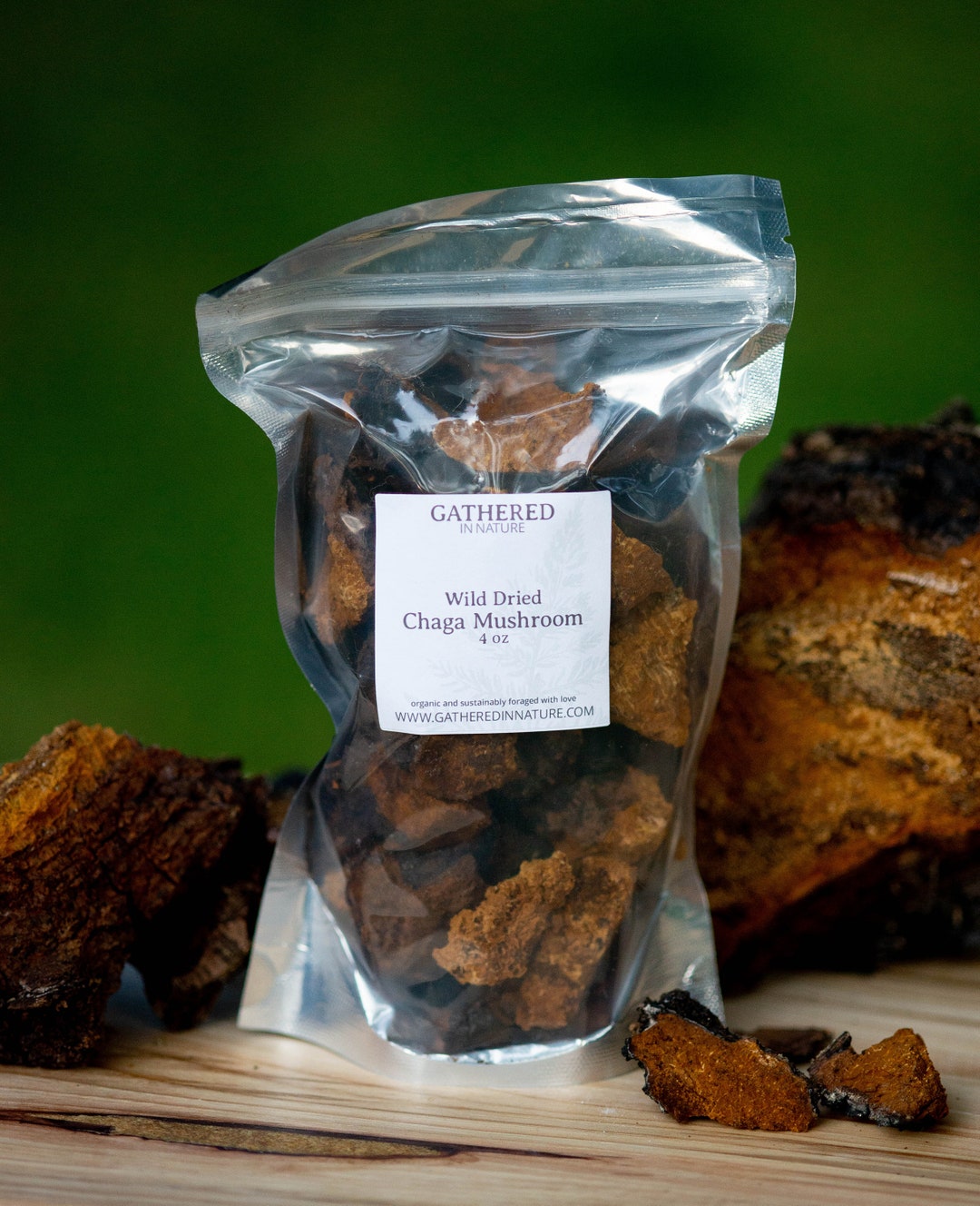 Wild Foraged Chaga Mushroom Chunks: Natural Tea Tincture - Etsy