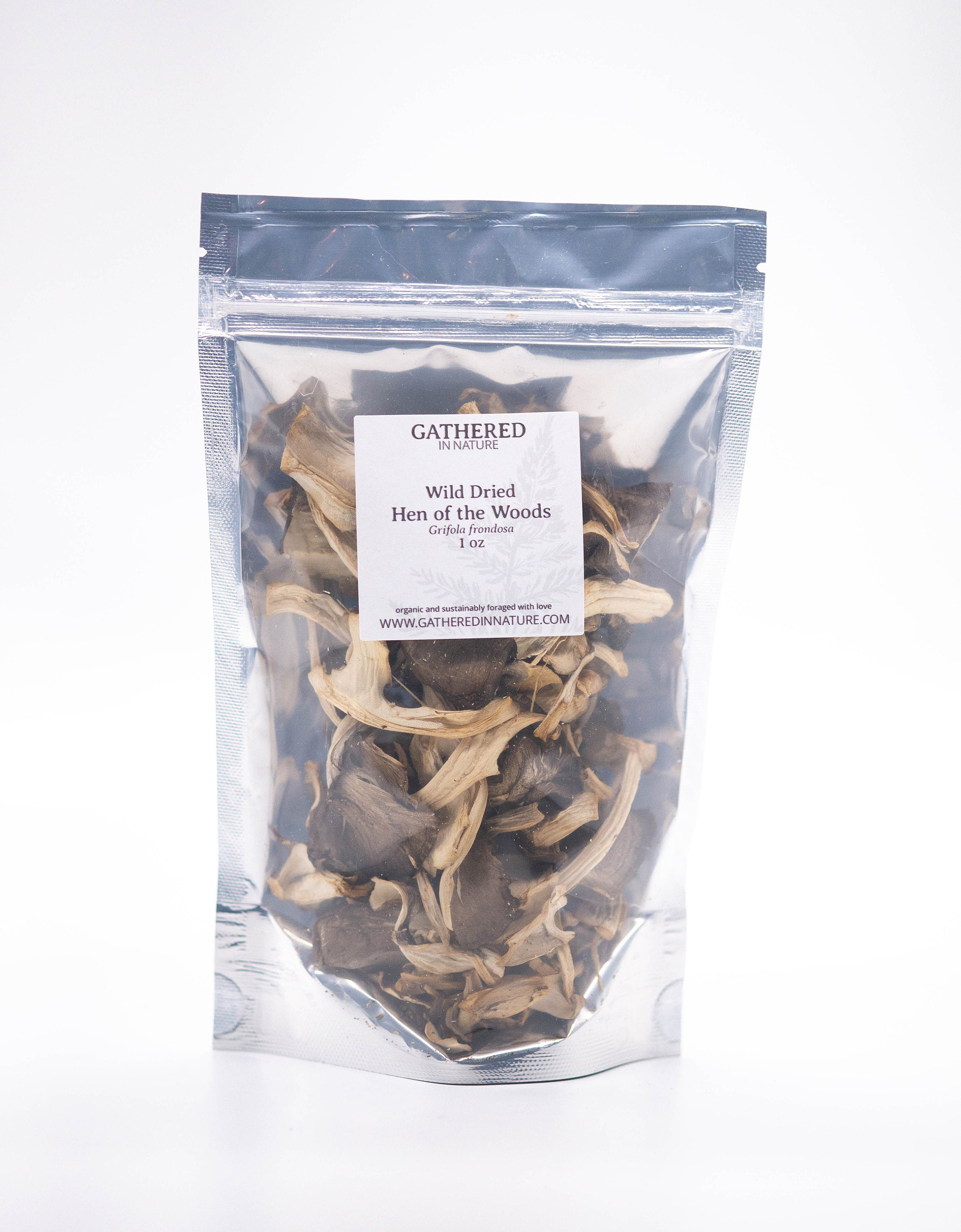 Maitake Hen of the Woods Grifola Frondosa Wild Foraged Dried Mushroom ...