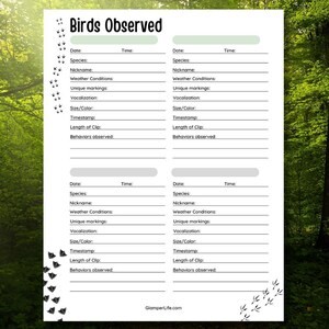 Bird Feeder Camera Log - 5-page Printable | Bird Watching Journal ...