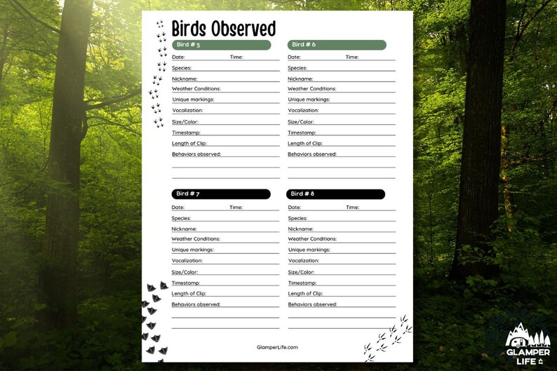Bird Feeder Camera Log - 5-page Printable | Bird Watching Journal ...