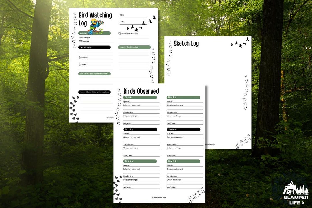 Bird Watching Log - 3-page Printable | Bird Observation Journal ...