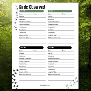 Bird Feeder Camera Log - 5-page Printable | Bird Watching Journal ...