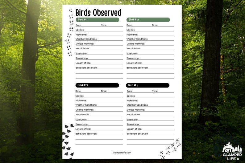 Bird Feeder Camera Log - 5-page Printable | Bird Watching Journal ...