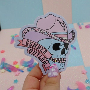 Gender Outlaw Vinyl Sticker - Etsy