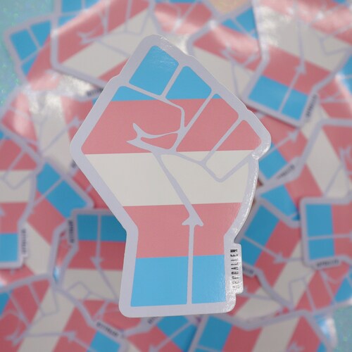 Transgender Skull Halloween Trans Waterproof Vinyl Sticker - Etsy