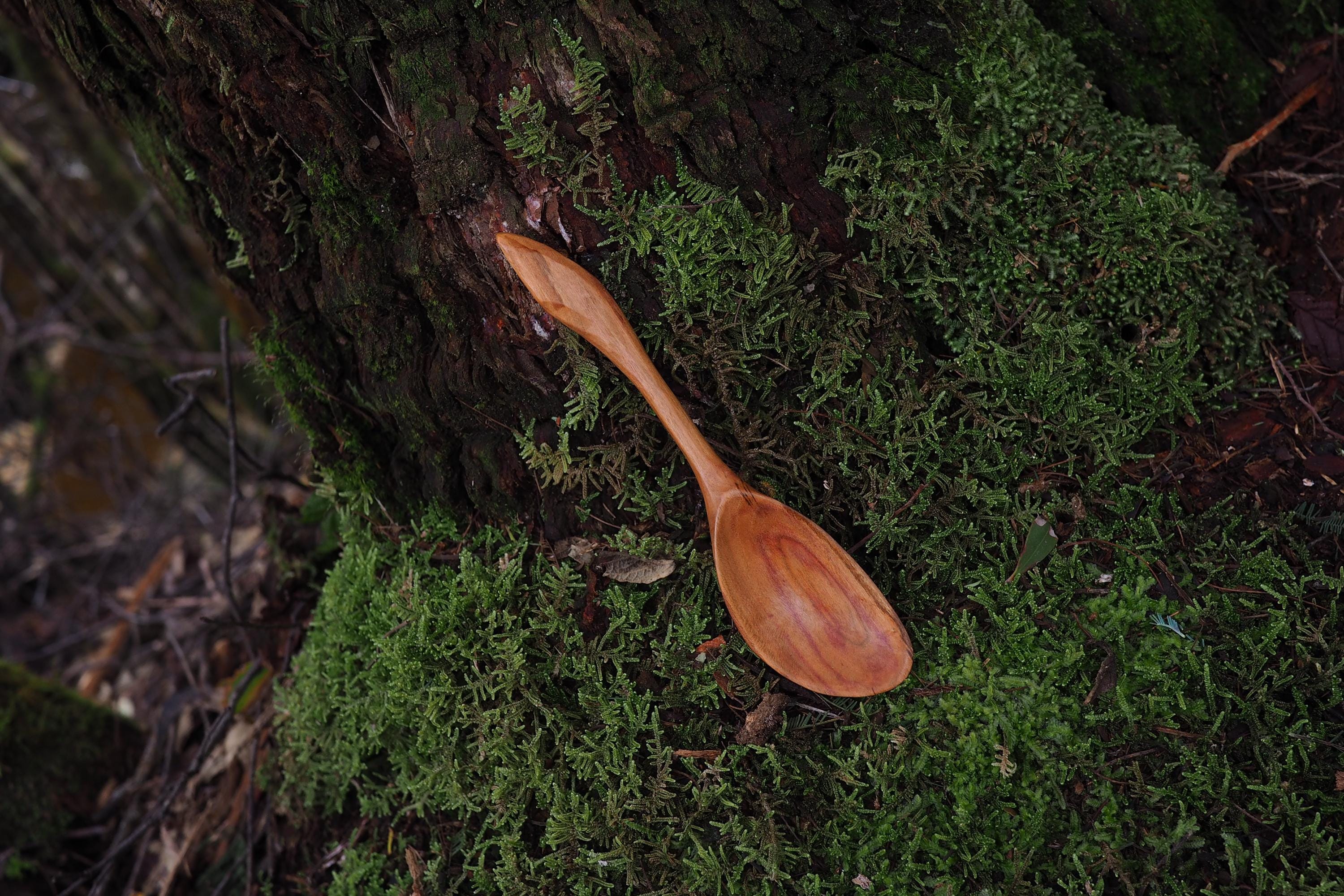 Hand Carved Wooden Spoon, Plum Wood Foraged, Organic Utensil, Crafted ...