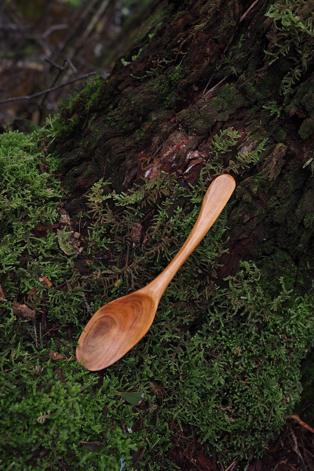 Hand Carved Wooden Spoon, Foraged Plum Wood Timber Organic Utensil ...
