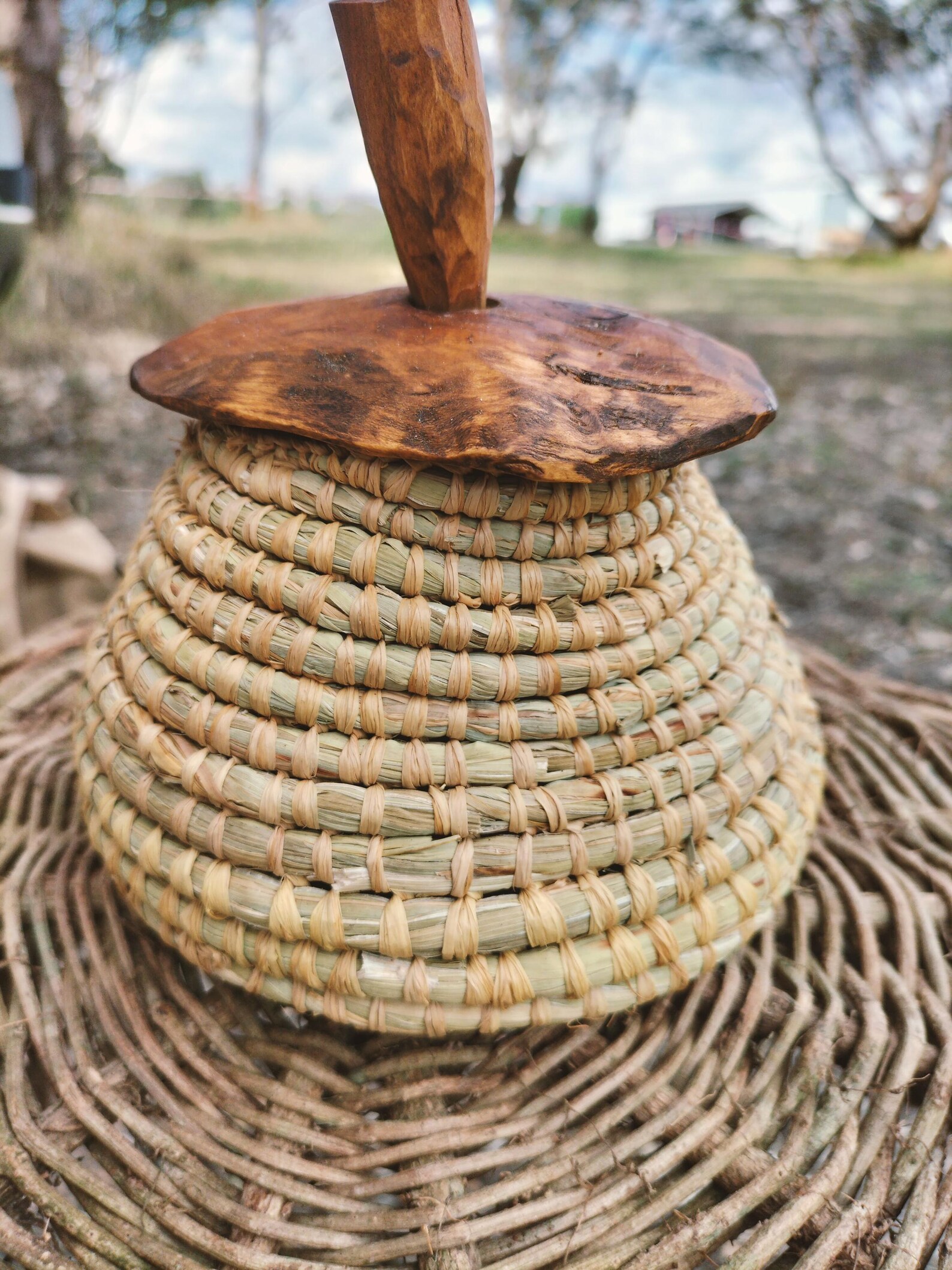 Hand Woven Coil Weave Basket With Cherry Wood Lid, Raffia Flax Weave ...